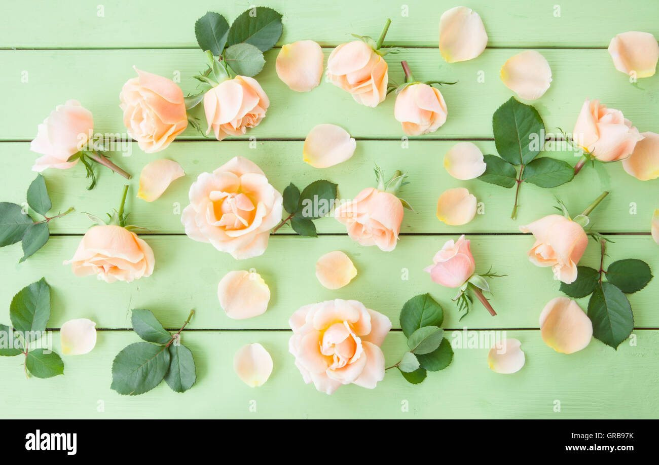 Peach Colored Roses Stock Photo - Alamy