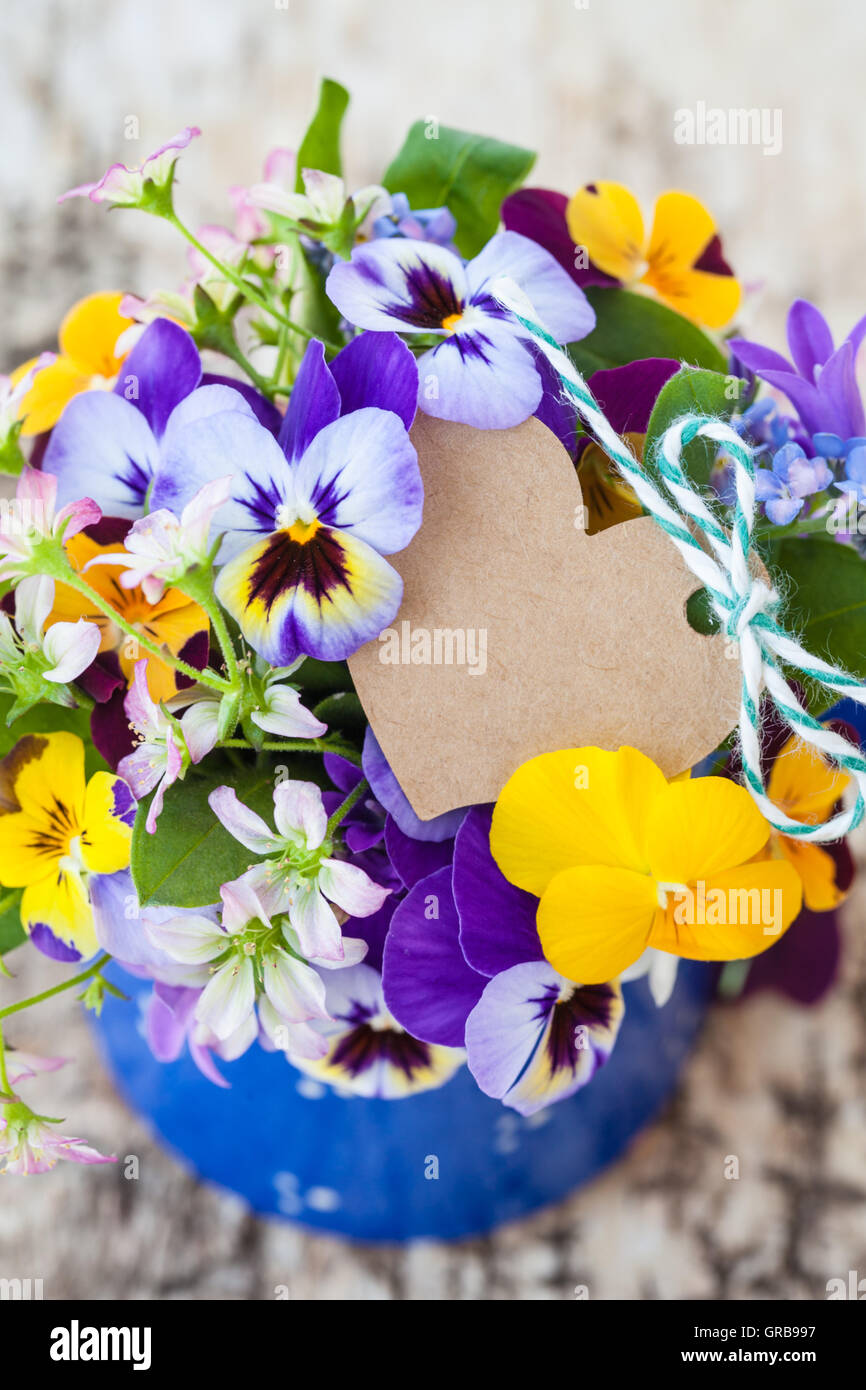 Colorful Spring Flowers Stock Photo - Alamy