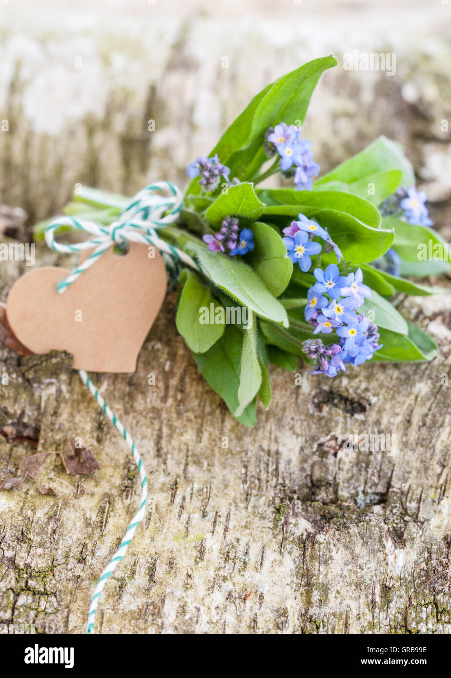 Colorful Spring Flowers Stock Photo - Alamy