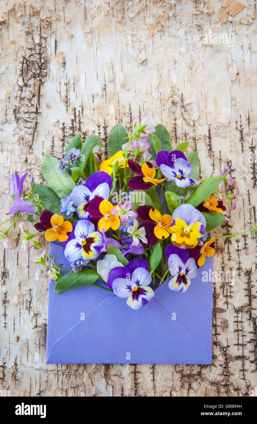 Colorful Spring Flowers Stock Photo - Alamy