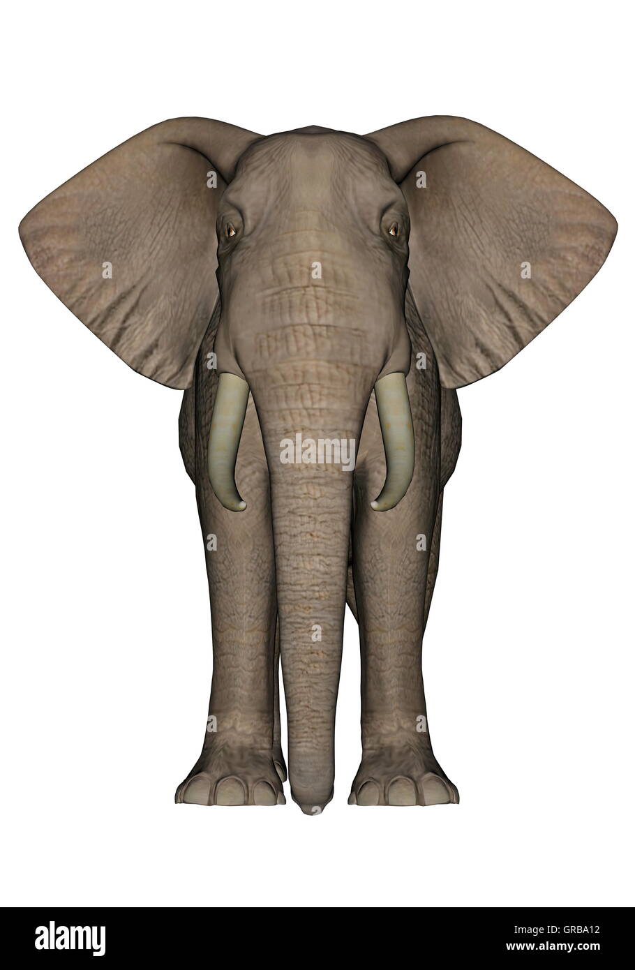 African steppe elephant Cut Out Stock Images & Pictures - Alamy