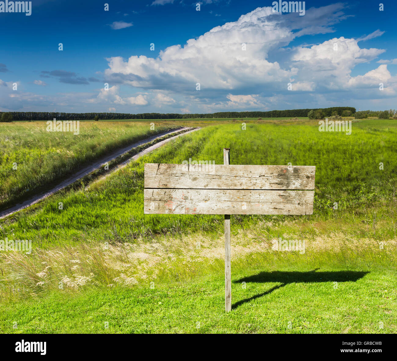 Country road at sunset in the field Stock Photo - Alamy