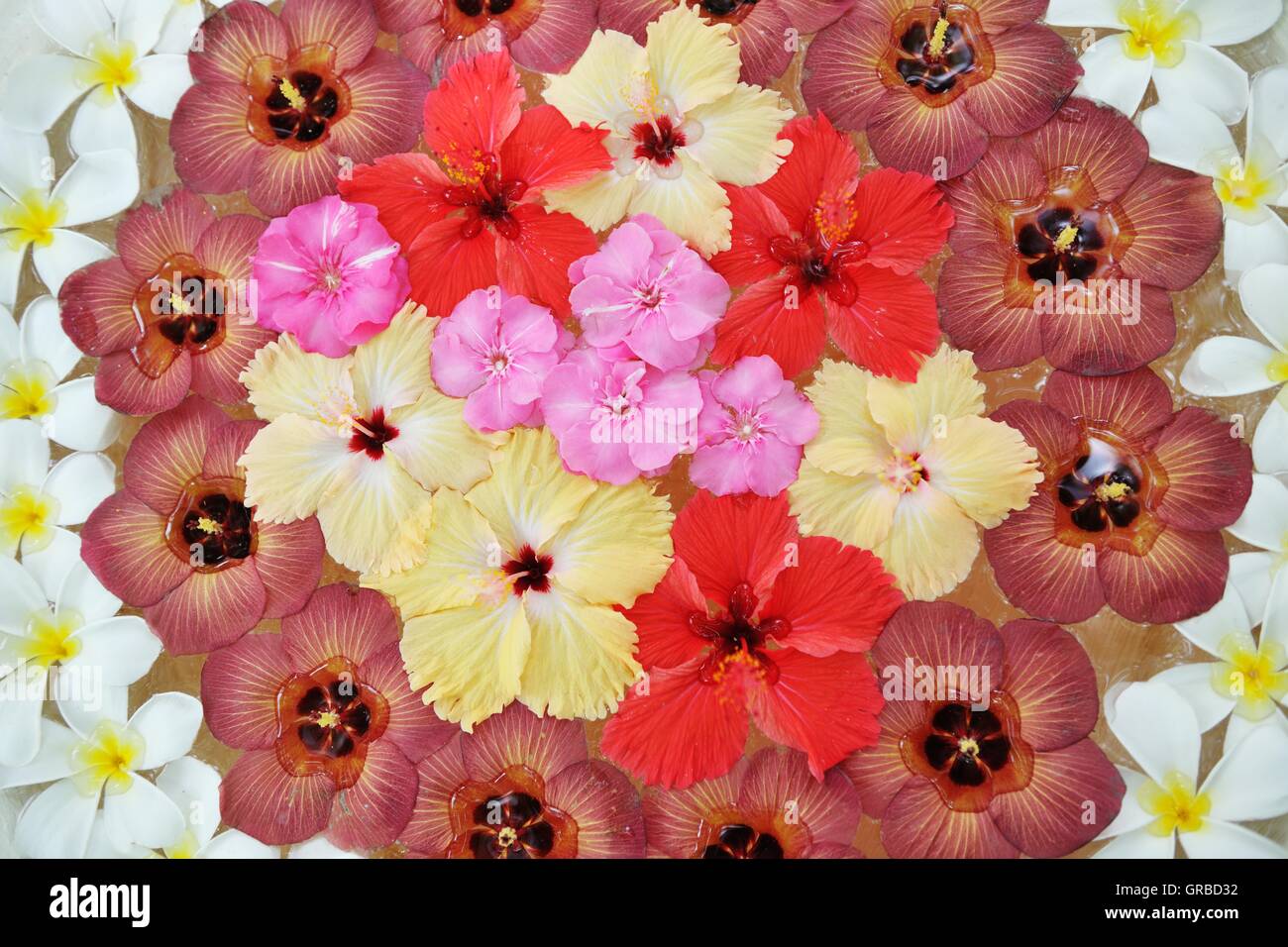 water cup with beautiful flowers background Stock Photo - Alamy