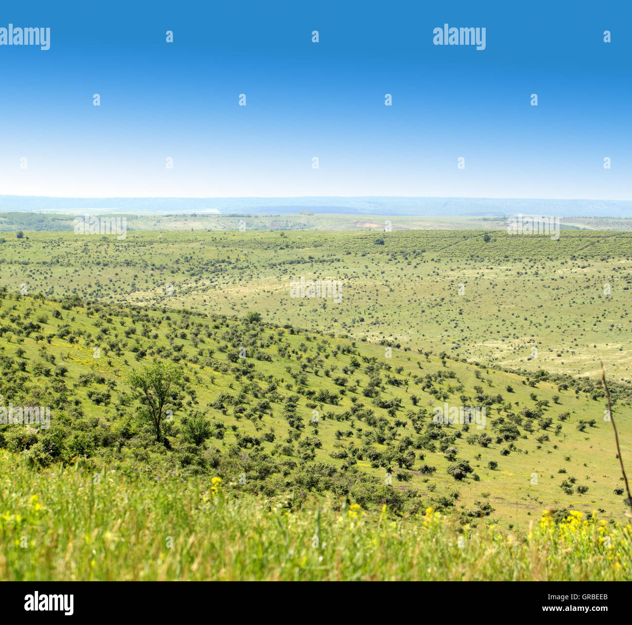 An abandoned field, hills and a blue sky Stock Photo - Alamy