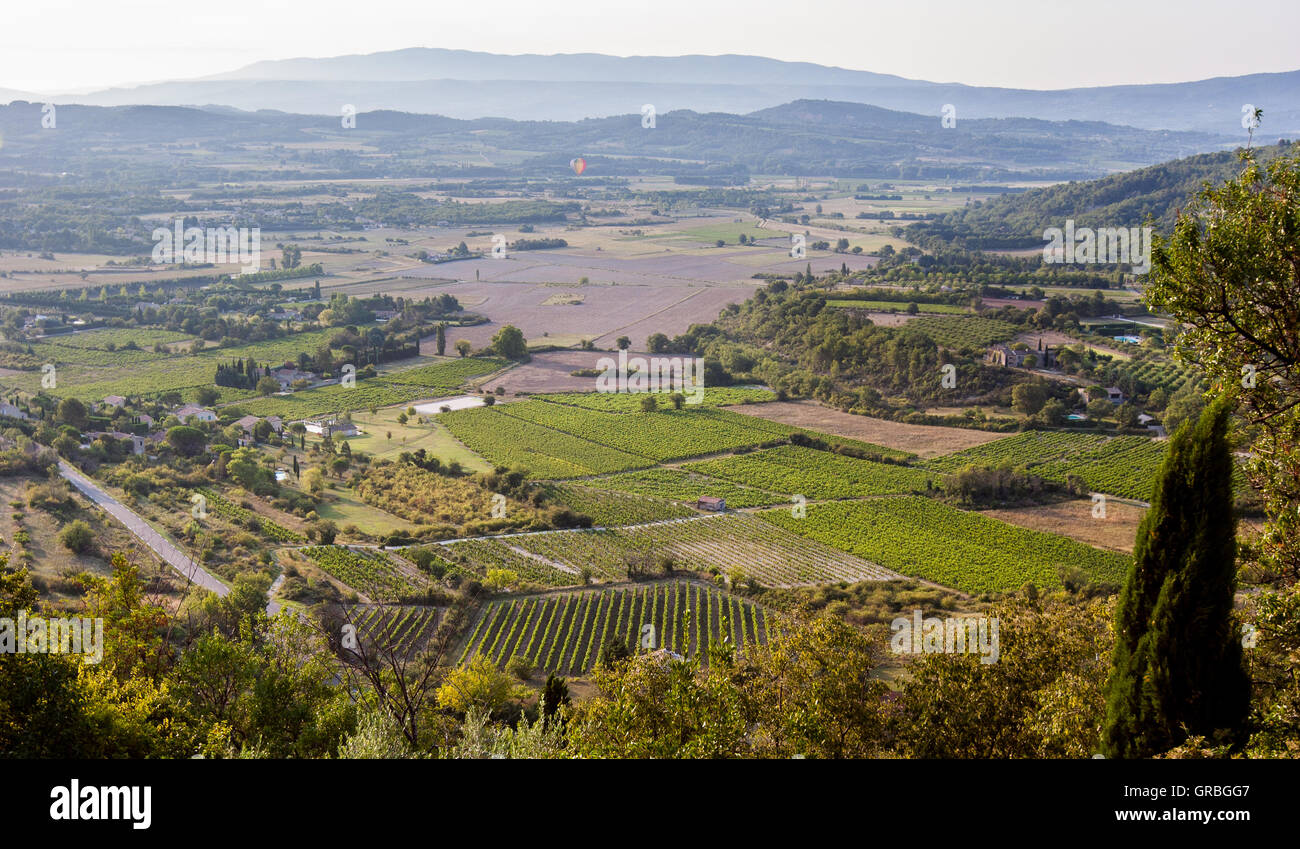 Provence grass hi-res stock photography and images - Alamy