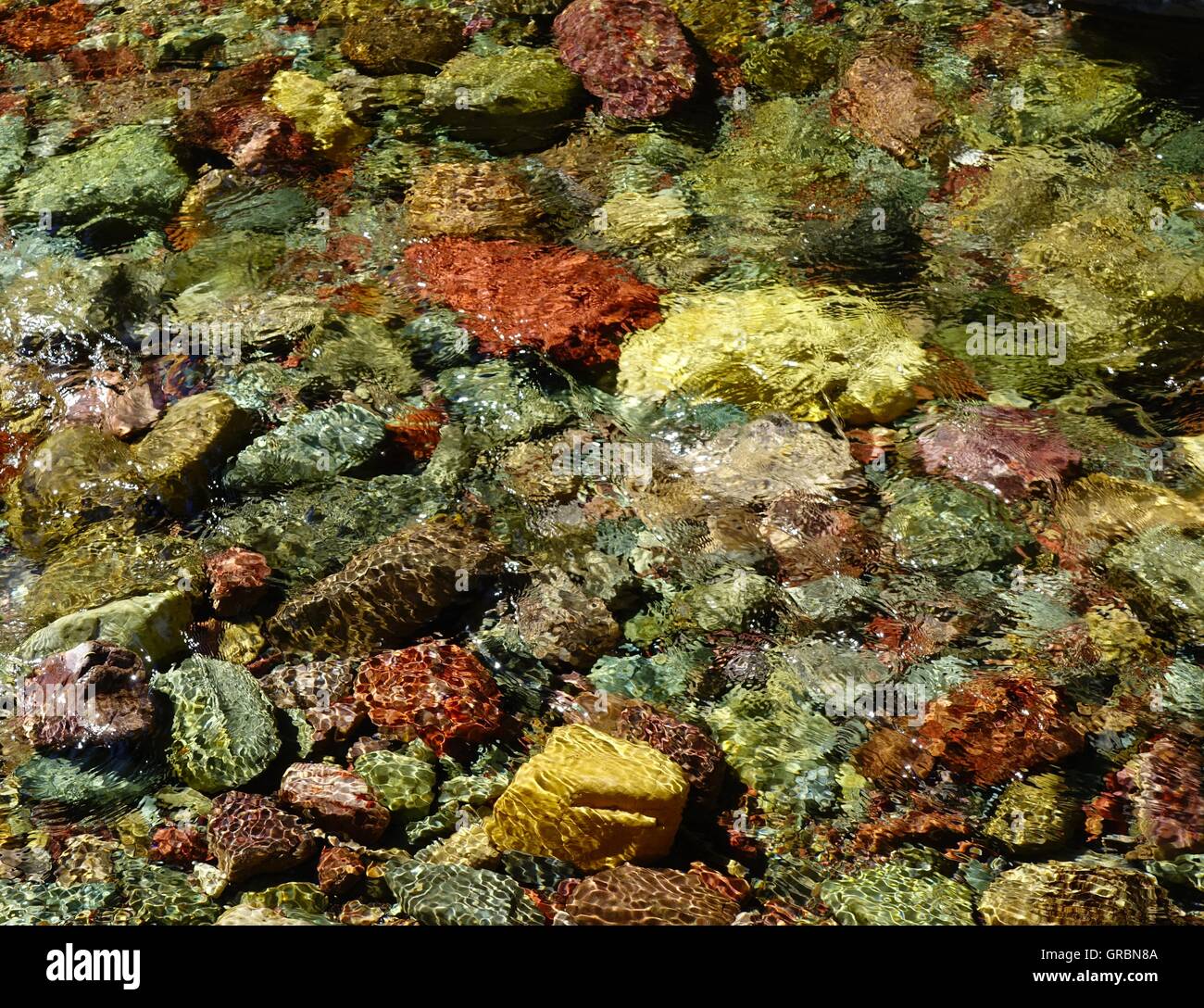 Colorful rocks in the Two Medicine River, Glacier National Park ...