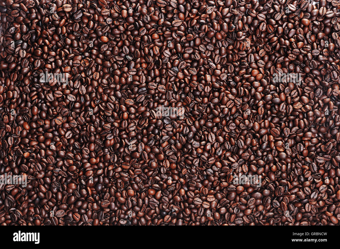 Coffee Bean Area Stock Photo - Alamy