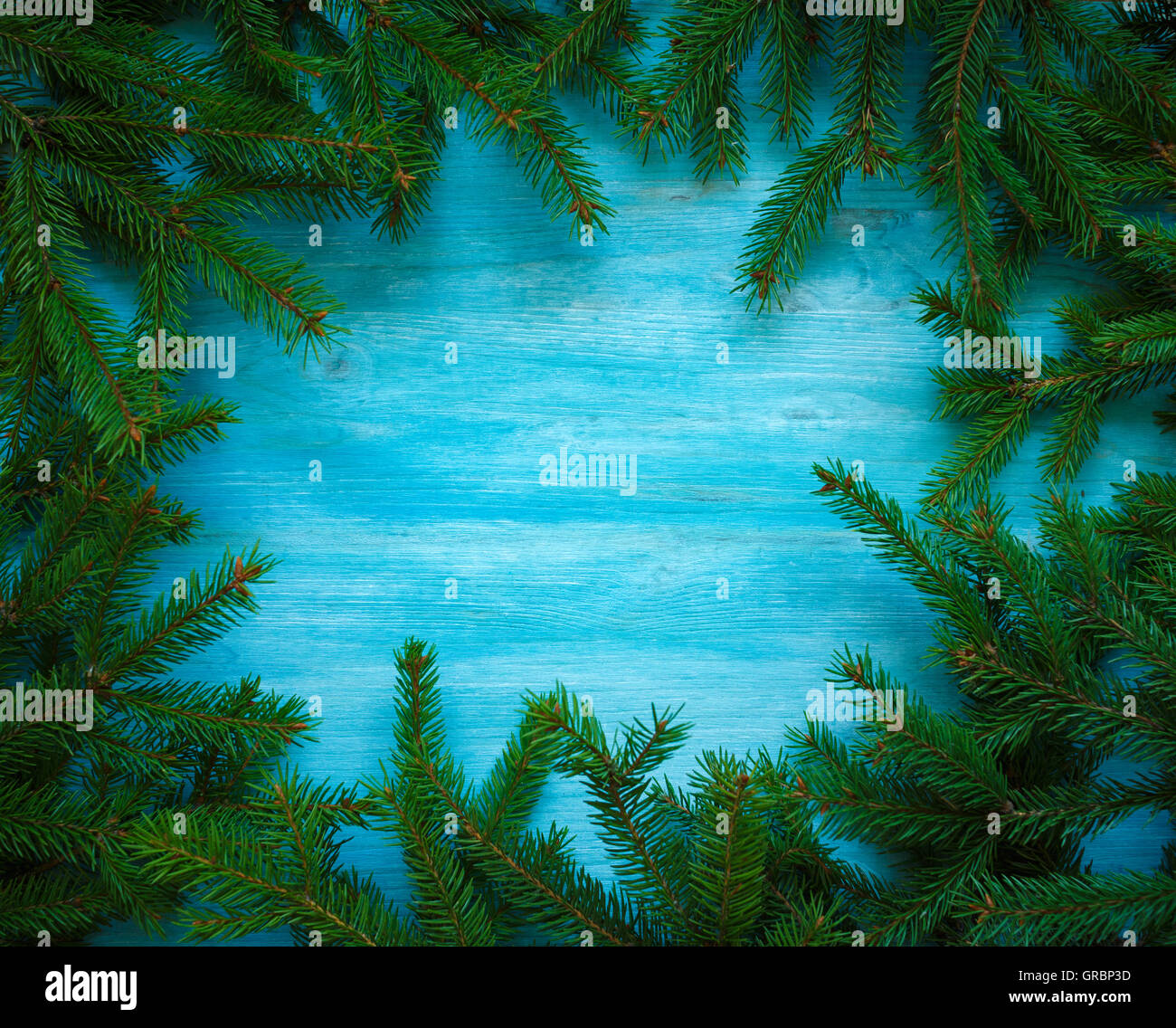 Christmas tree branches on blue wooden texture ready for your design ...