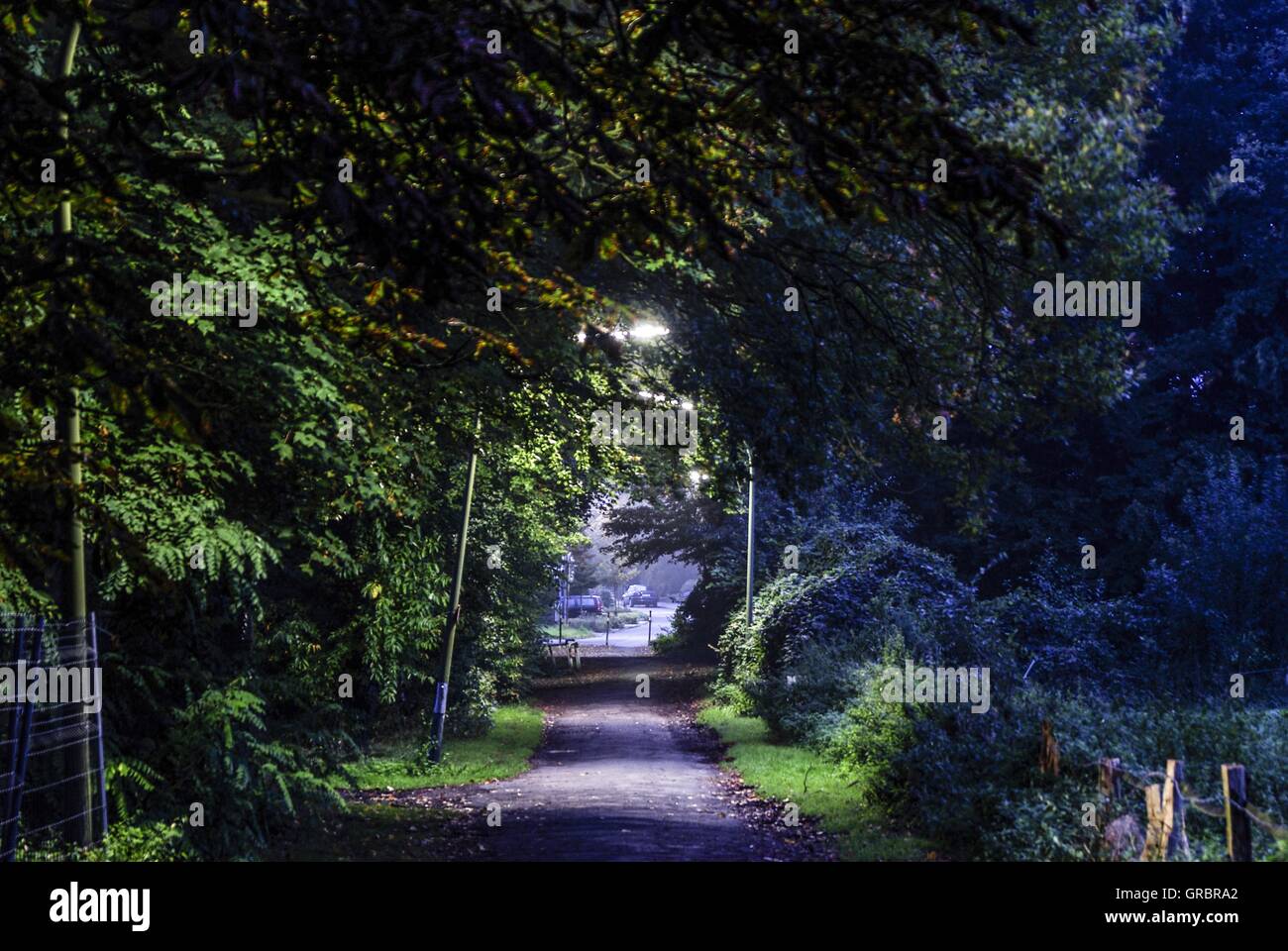 Unclear path hi-res stock photography and images - Alamy