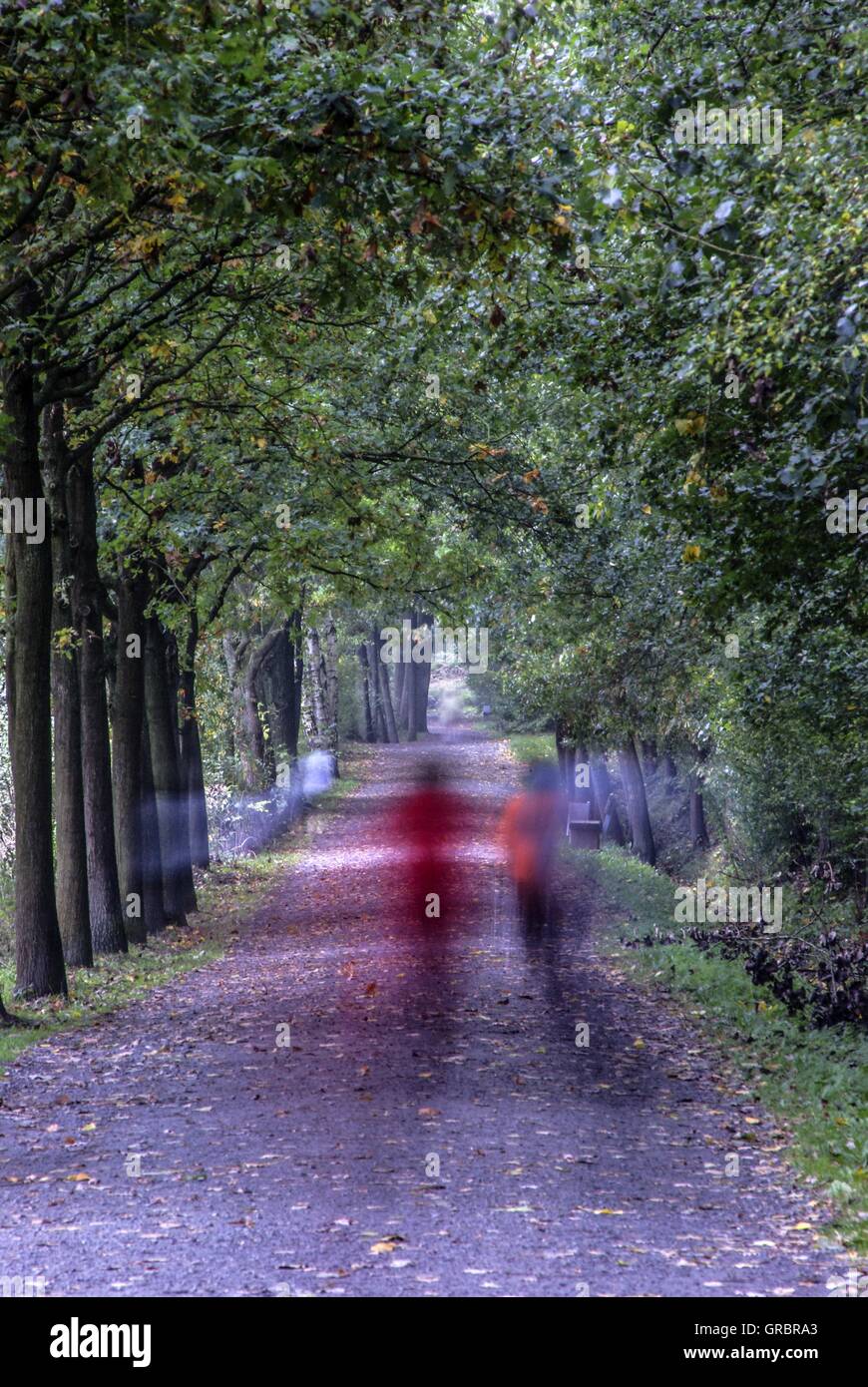 The path is unclear hi-res stock photography and images - Alamy