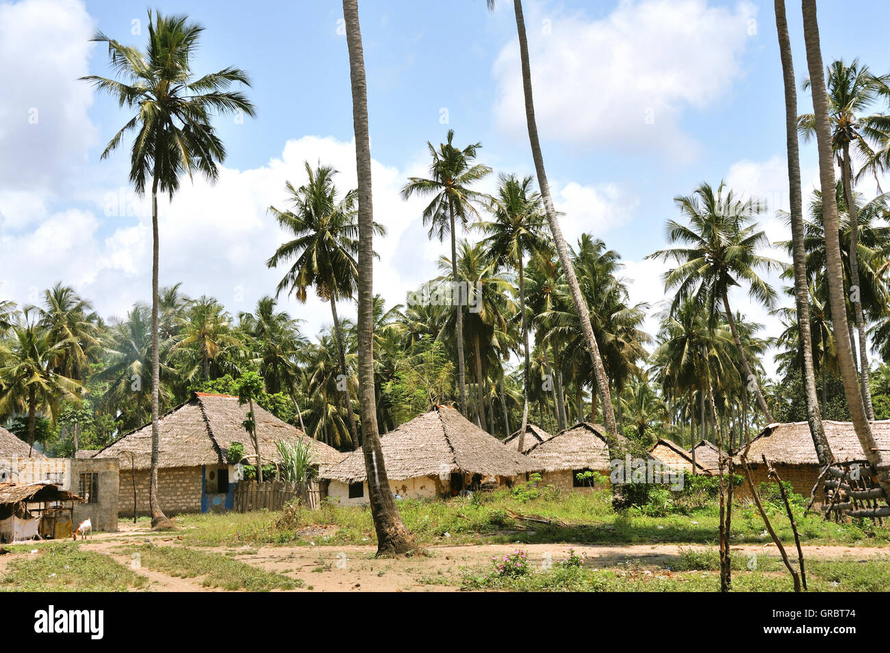 Village Shirazi Under Palms At The Southern East Coast Of Kenya Stock ...