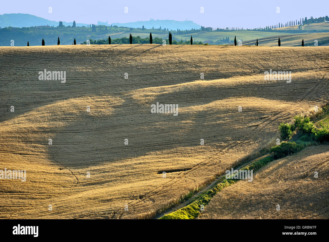 Tuscan Hills With Soft Light And Shadows, Tuscany, Italy Stock Photo ...
