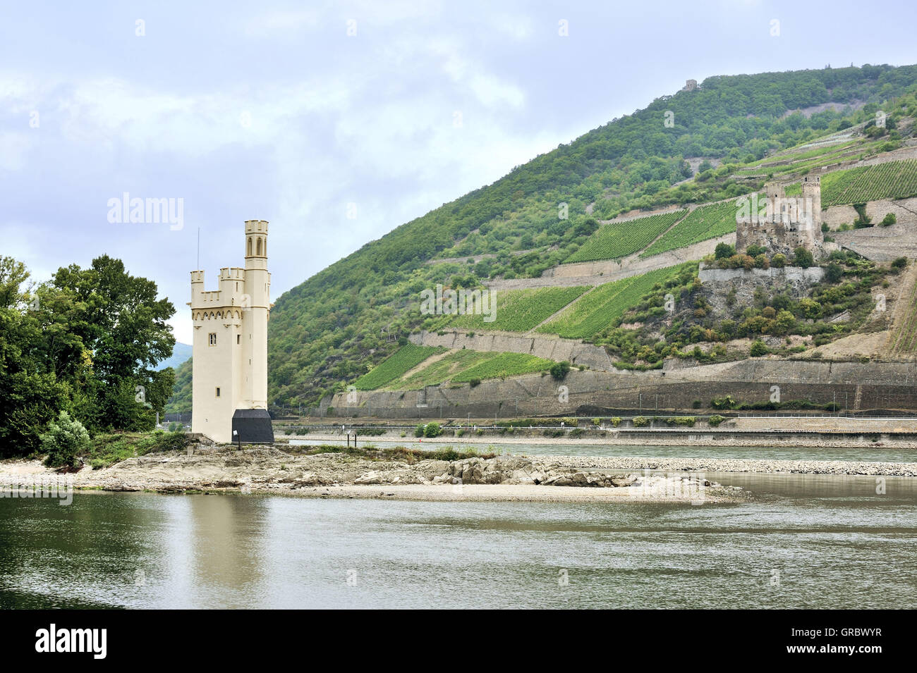The Mouse Tower With Ehrenfels Castle On The Background, Town Bingen ...
