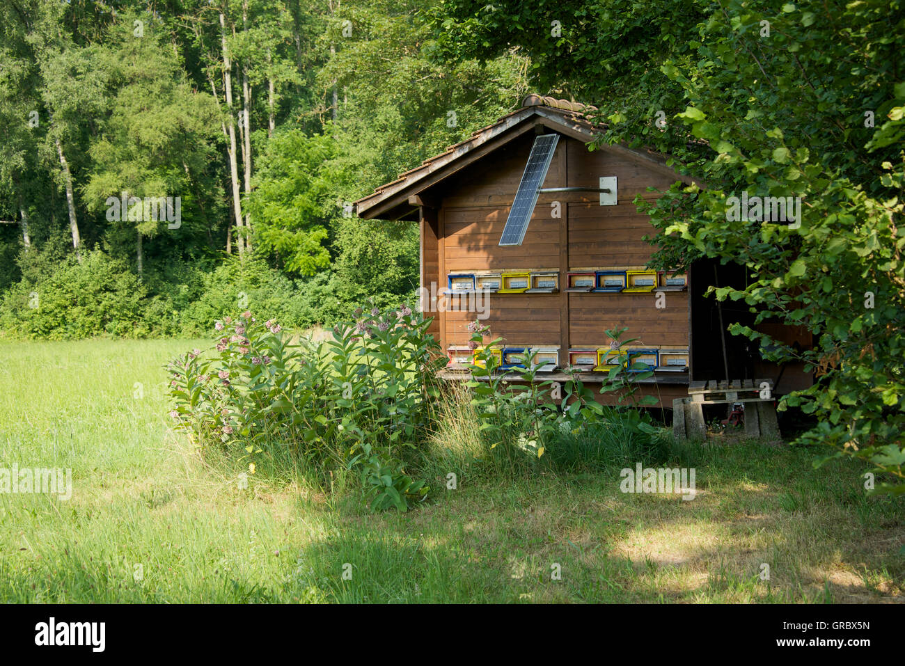 Beehive On Grassland On A Summer Morning, With Solar Panel Stock Photo ...