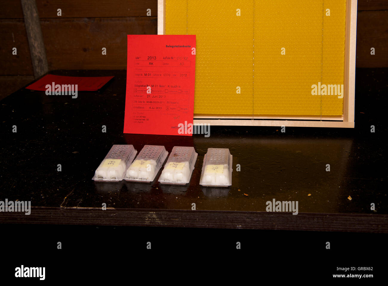 Introduction Cages With Queenbees, Certificates, Prepared Beecomb ...