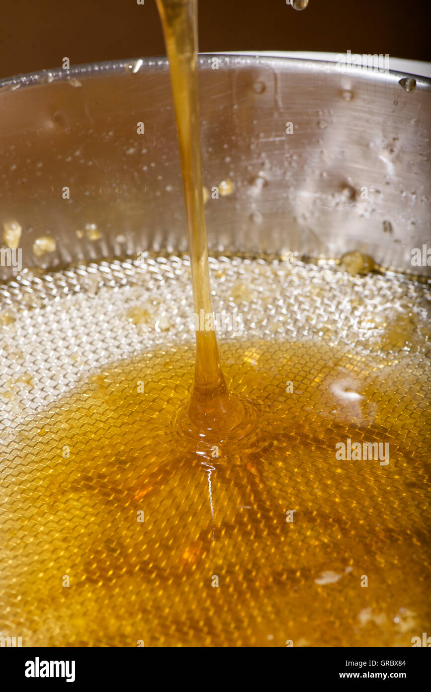 Honey Pouring From Honeyextractor Through A Sieve In A Bucket Stock ...