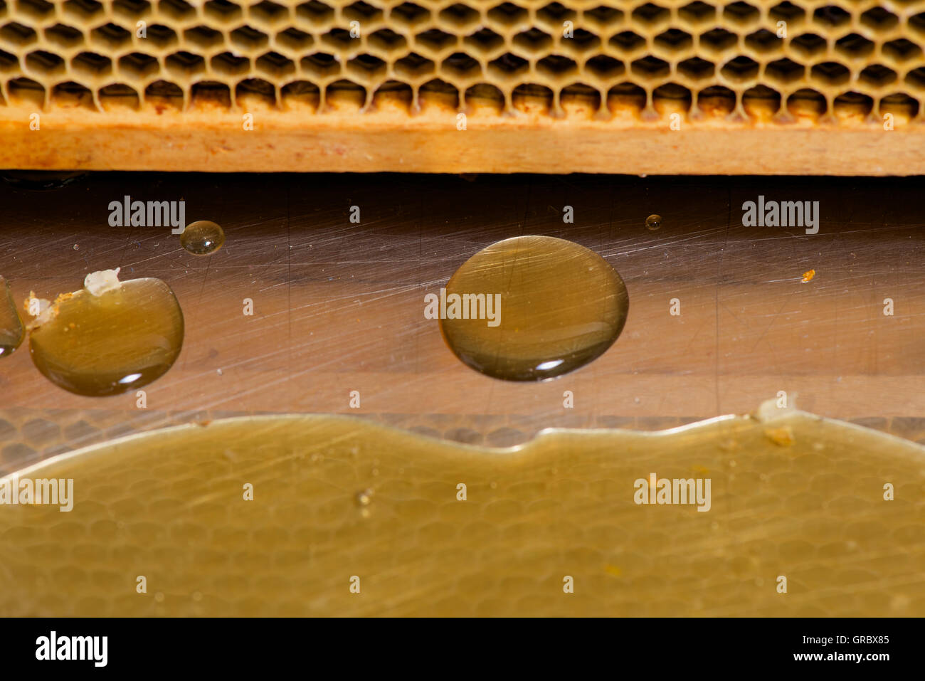 Light honey hi-res stock photography and images - Alamy