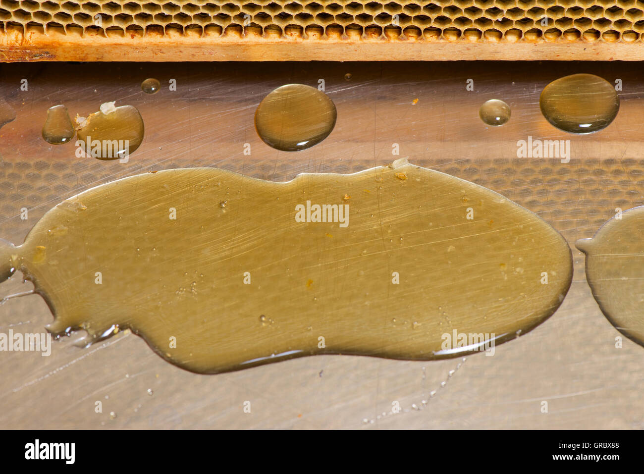 Honey Dripping Out From Honeycomb, Light Reflection Of The Honeycomb ...