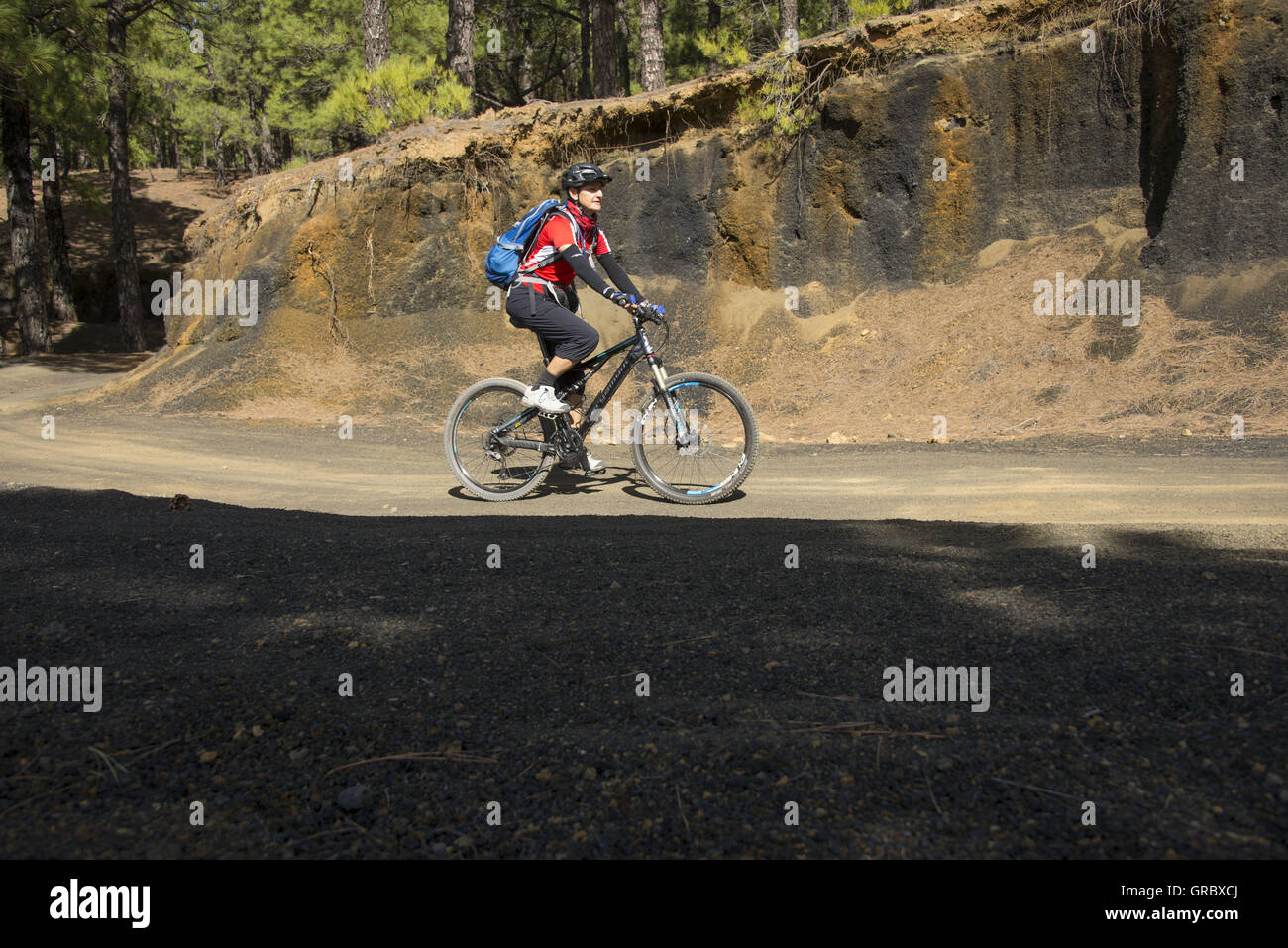 Biker on forested bike path hi-res stock photography and images - Alamy