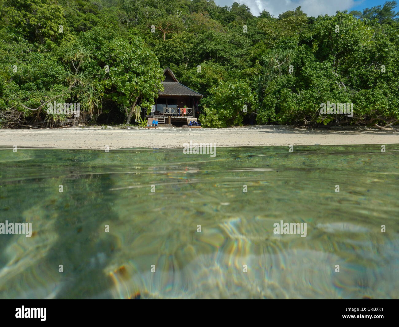 Fragile beach ecosystem hi-res stock photography and images - Alamy
