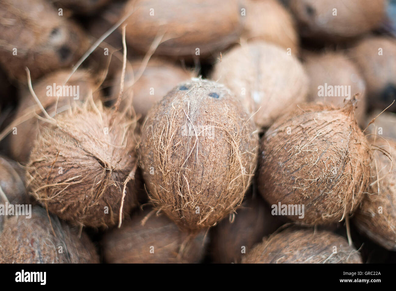 Coconuts As Background Stock Photo - Alamy