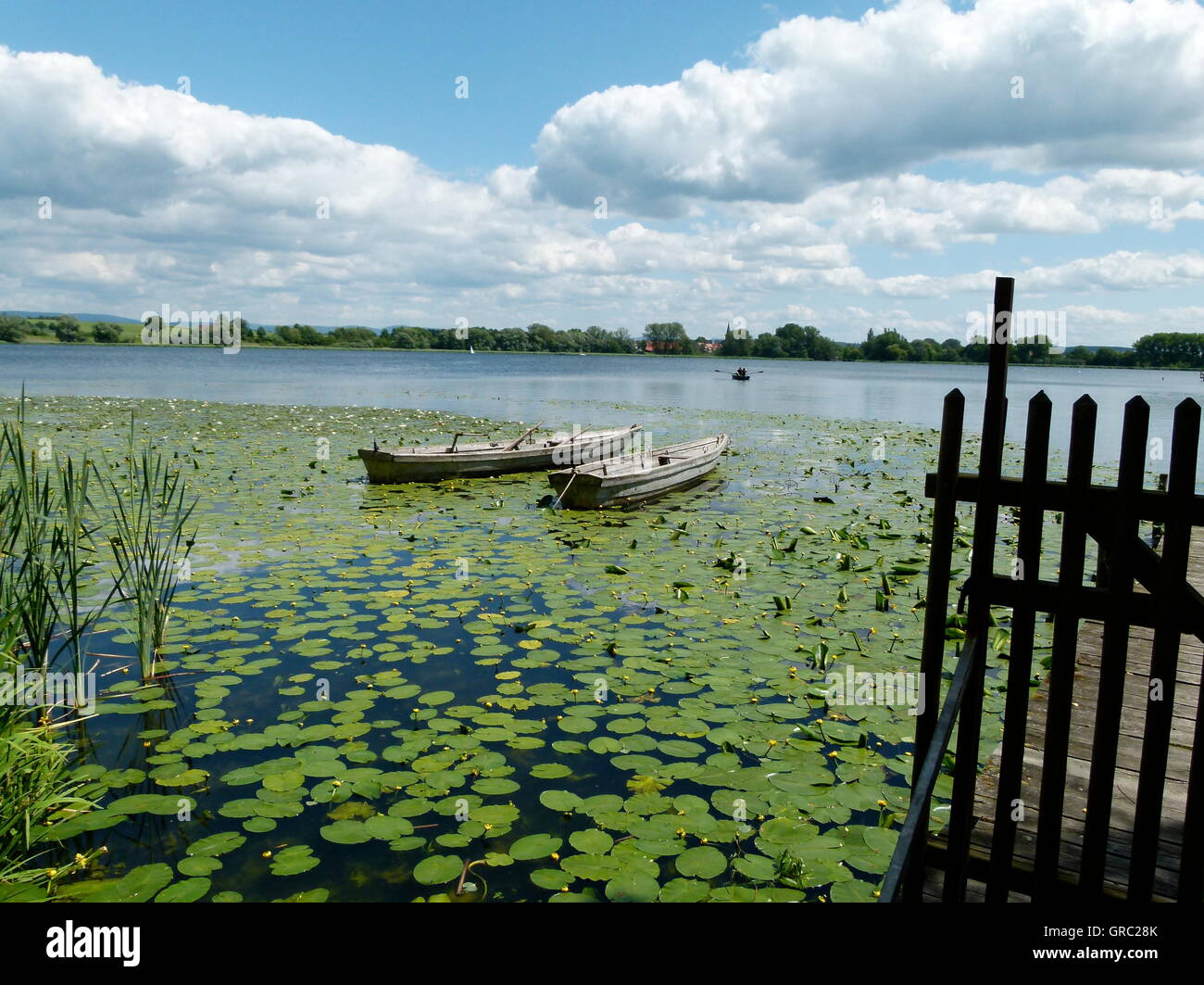 Lake With Rowing Boats Stock Photo - Alamy
