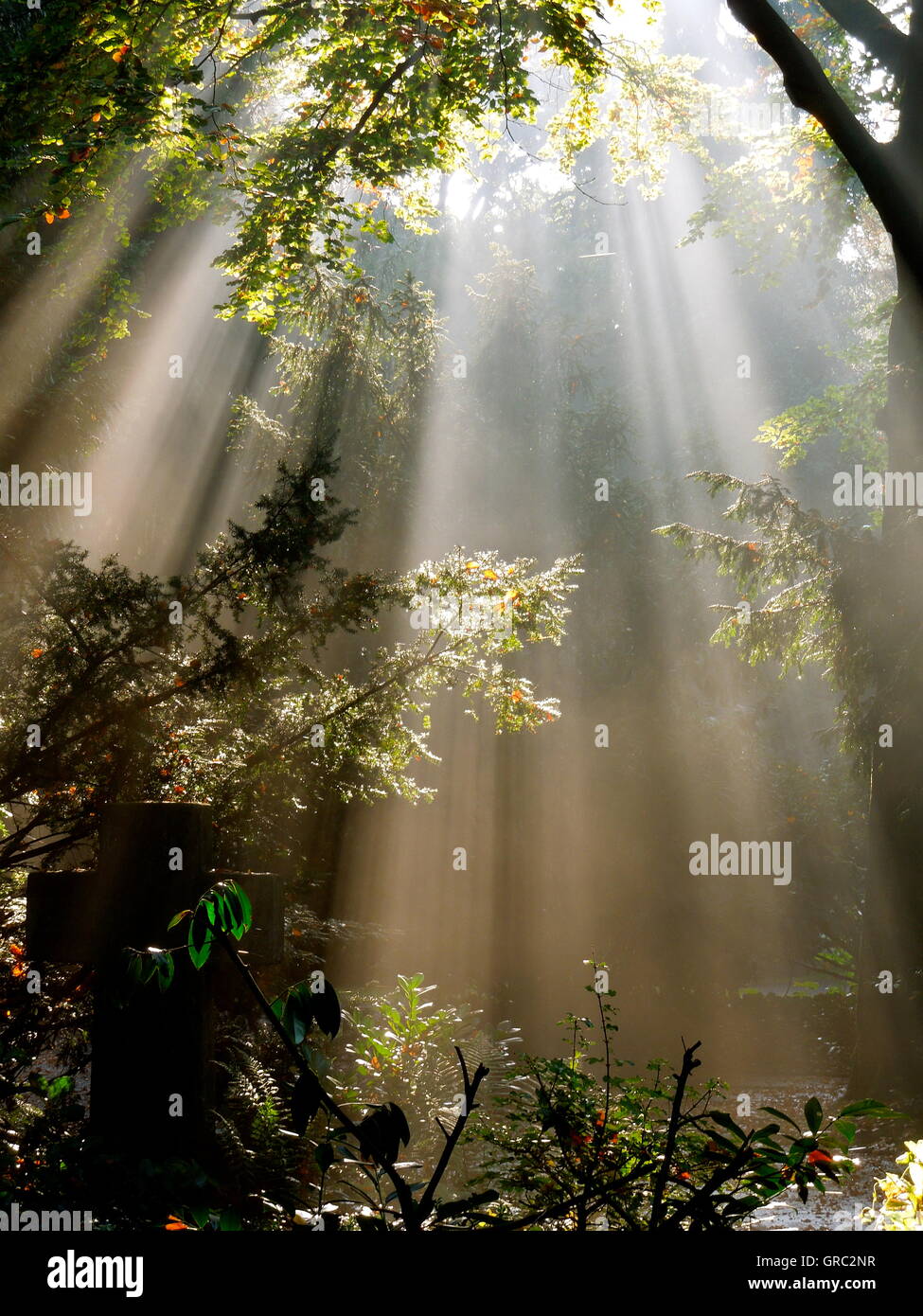 Death hope hi-res stock photography and images - Alamy