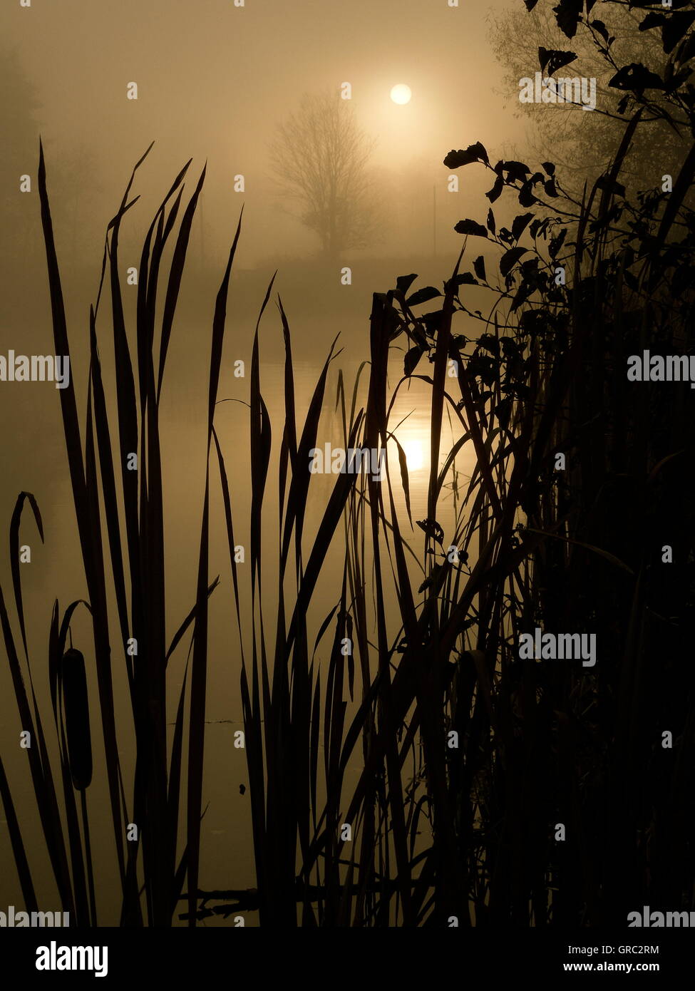 November Blues Foggy Weather At The Lakeside Stock Photo - Alamy