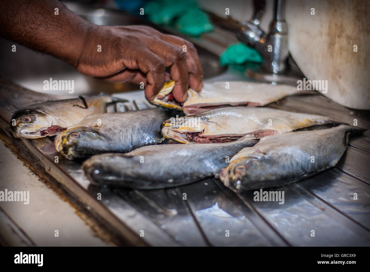 Cleaning fresh fish hi-res stock photography and images - Alamy