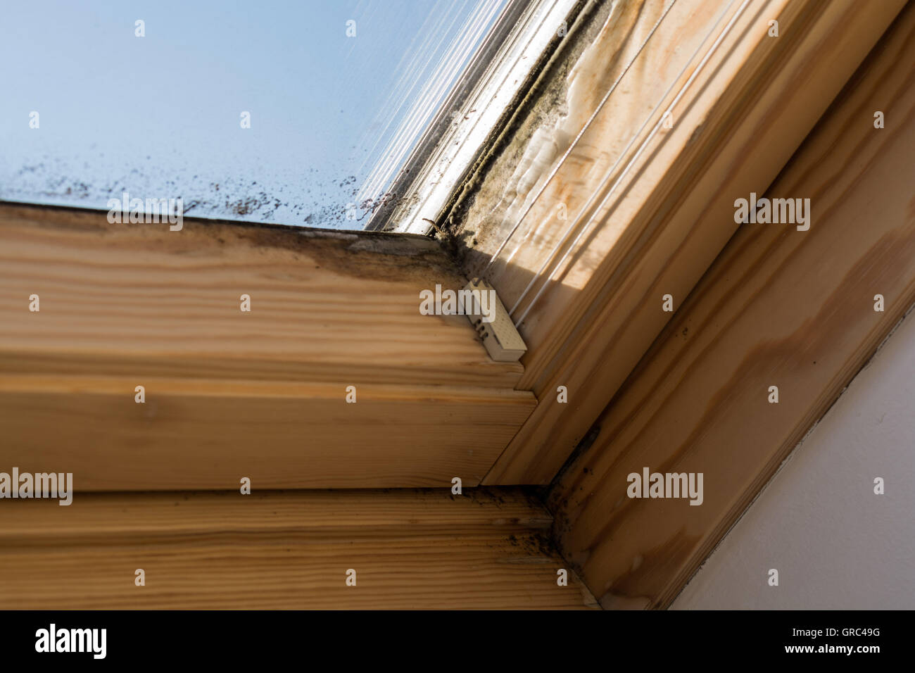 On The Roof Windows Mildew Forms Stock Photo - Alamy