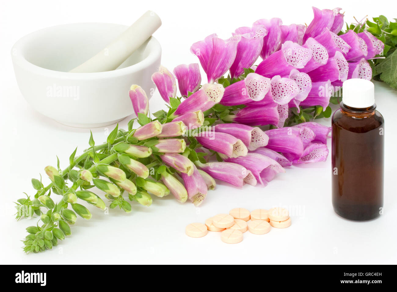 Common Foxglove With Mortar, Pestle And Drugs On White Background Stock ...