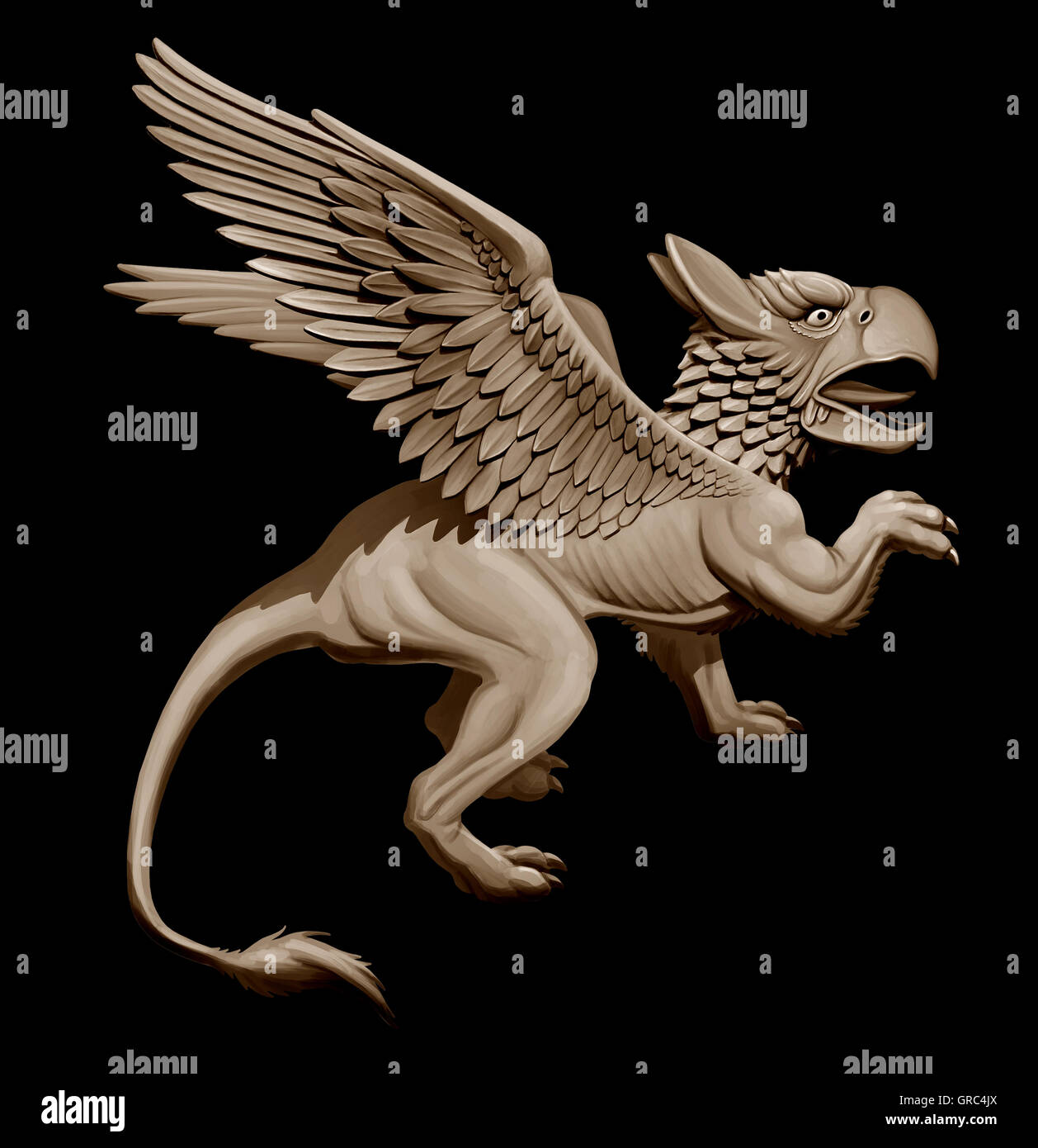 Griffin illustration hi-res stock photography and images - Alamy