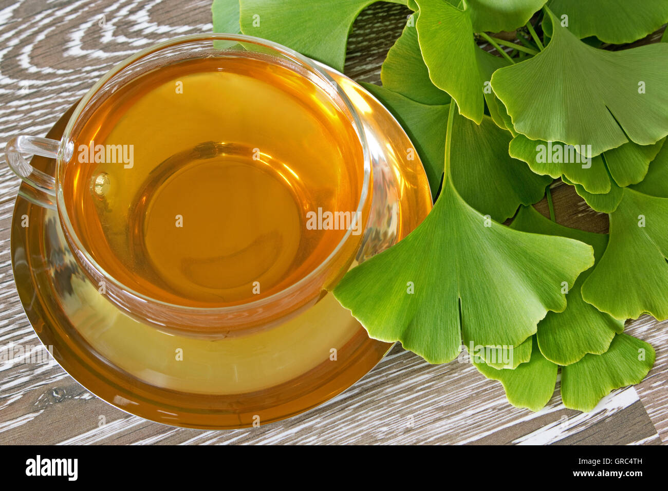 Ginkgotee hi-res stock photography and images - Alamy