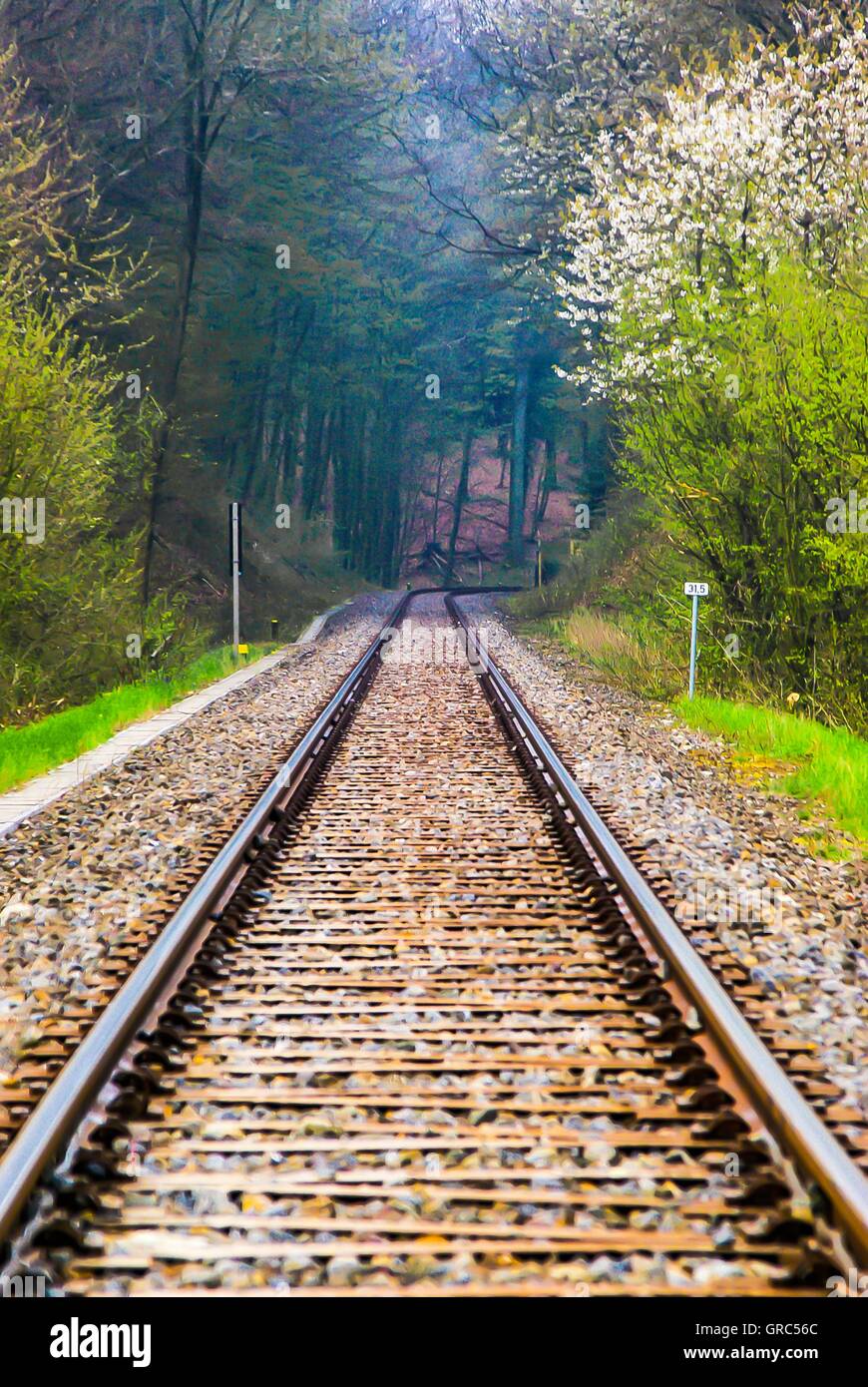 Railway Track In The Forest Stock Photo - Alamy