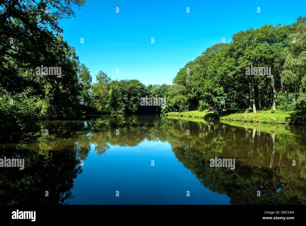 Down the bayou hi-res stock photography and images - Alamy