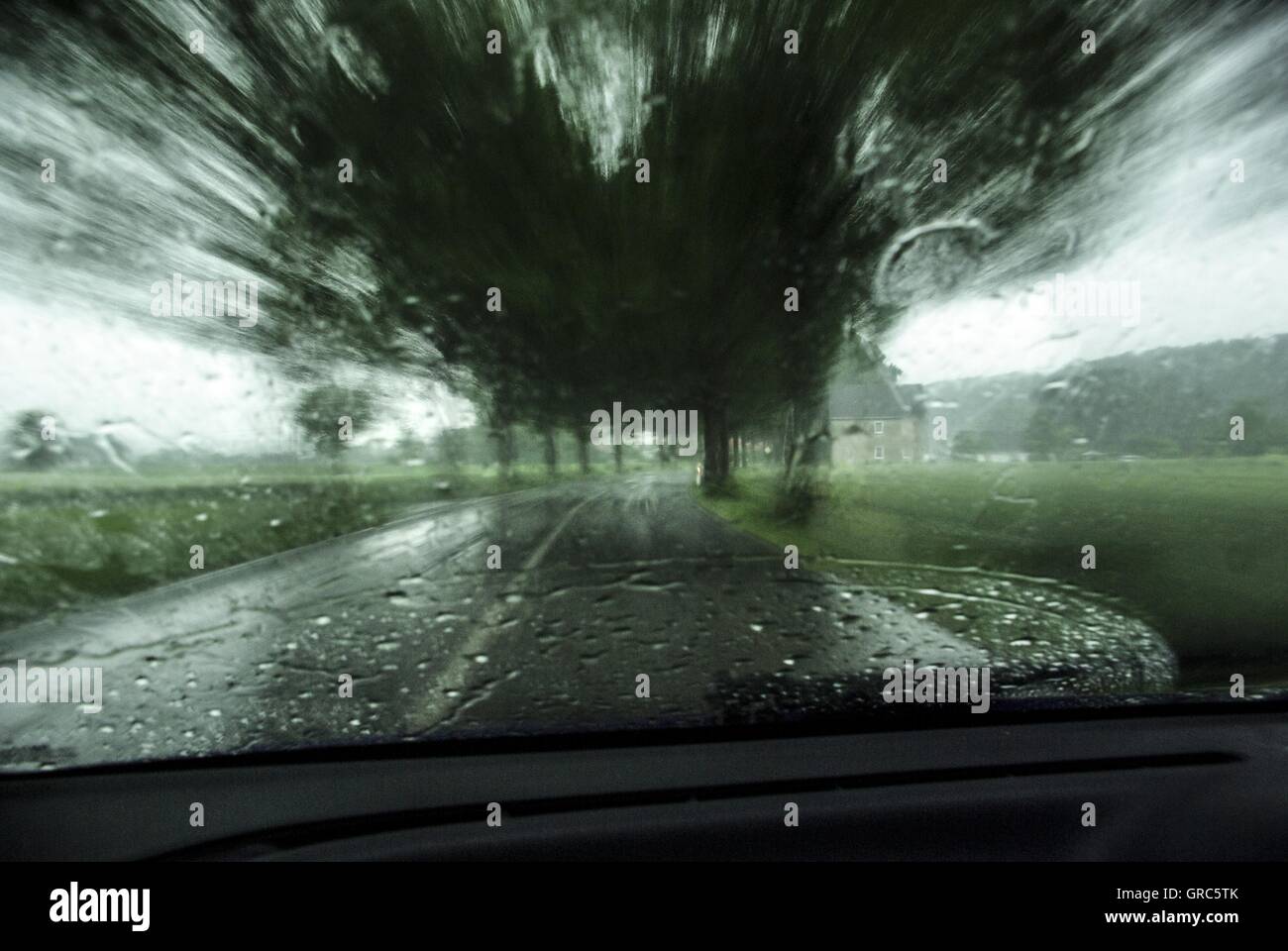 Storm, Street, Trees, Rain, Speed Stock Photo - Alamy