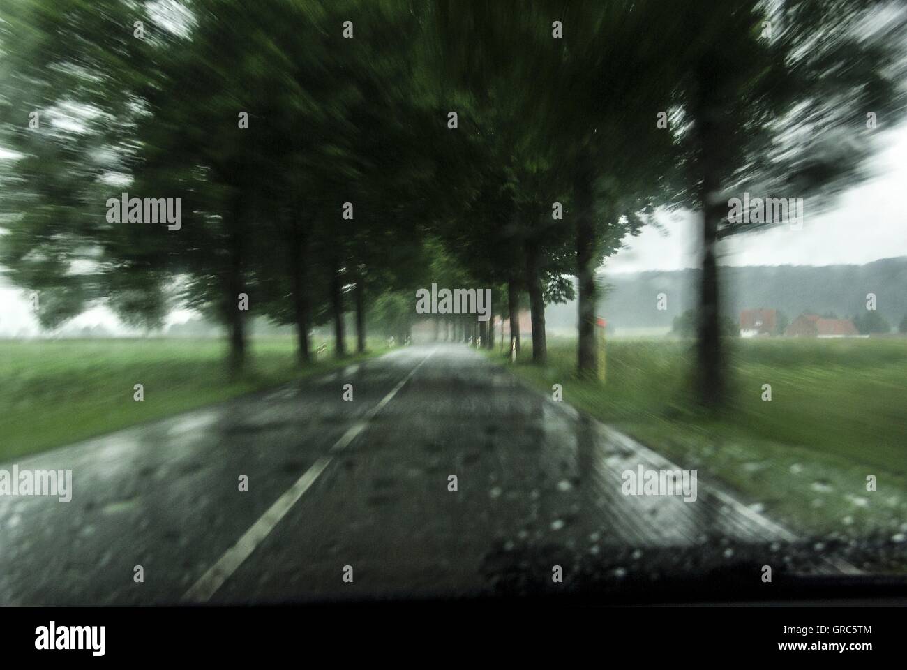 Storm, Street, Trees, Rain, Speed Stock Photo - Alamy