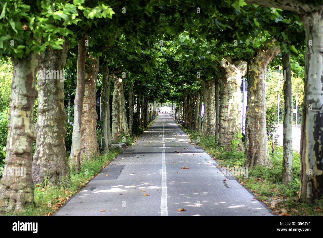 Use other footpath hi-res stock photography and images - Alamy