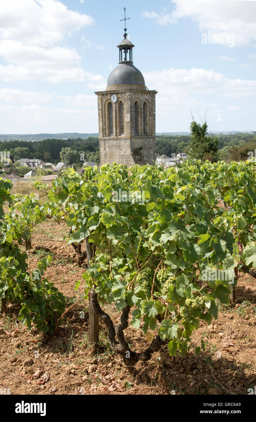 Vouvray hi-res stock photography and images - Alamy