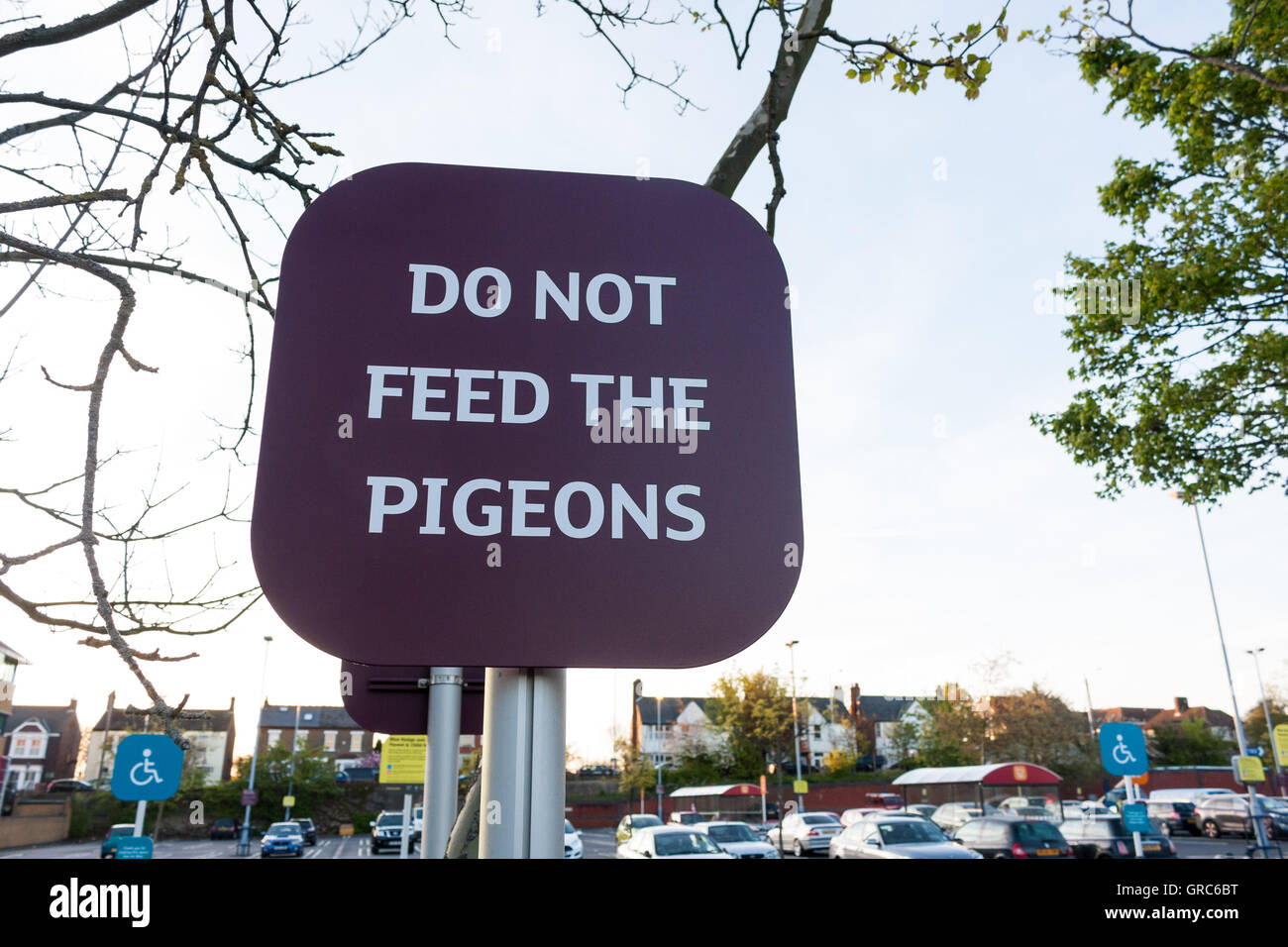 'Do not feed the pigeons' sign in a car park, UK Stock Photo - Alamy