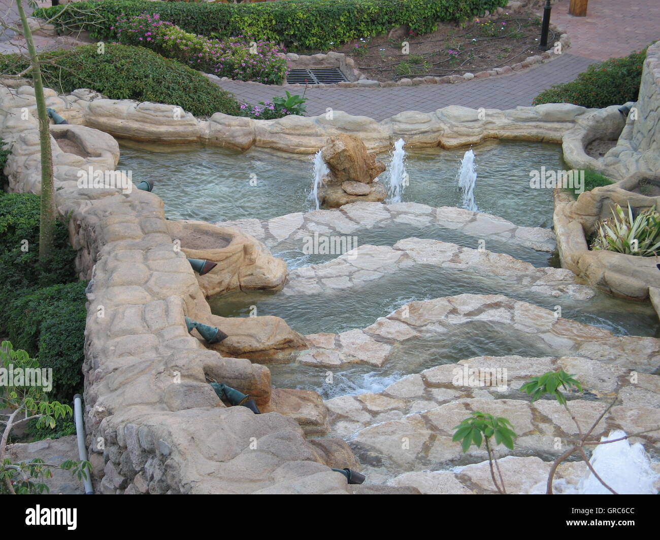 Reflection in fountain palm trees hi-res stock photography and images ...