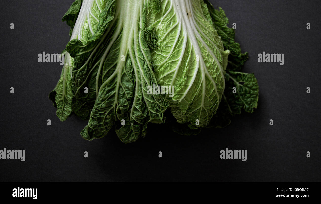Chinese Cabbage Field High Resolution Stock Photography and Images - Alamy