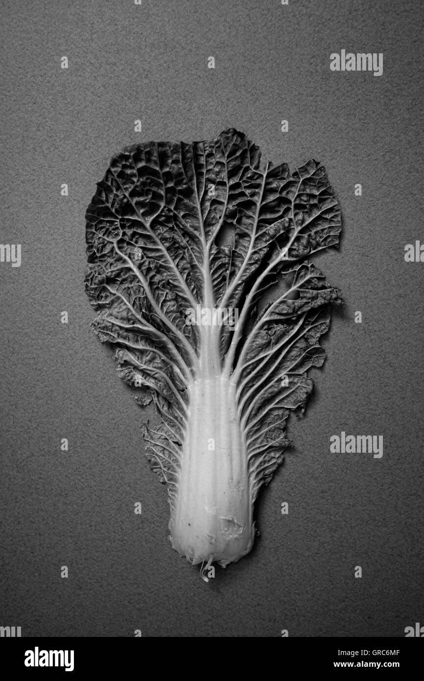 Cabbage nutrition Black and White Stock Photos & Images - Alamy
