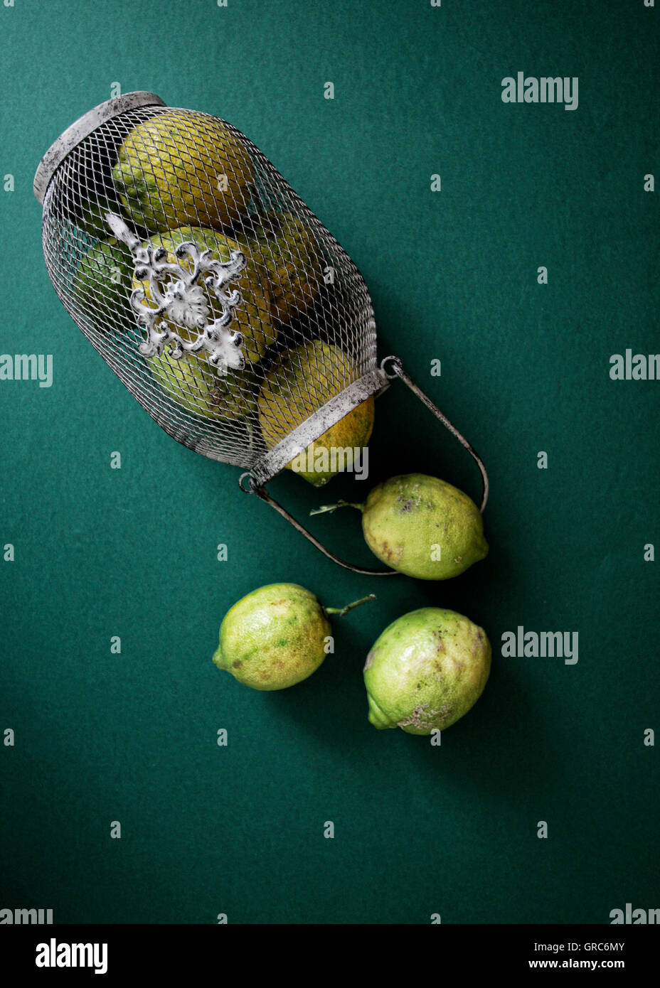 Lemon seed tree hi-res stock photography and images - Alamy