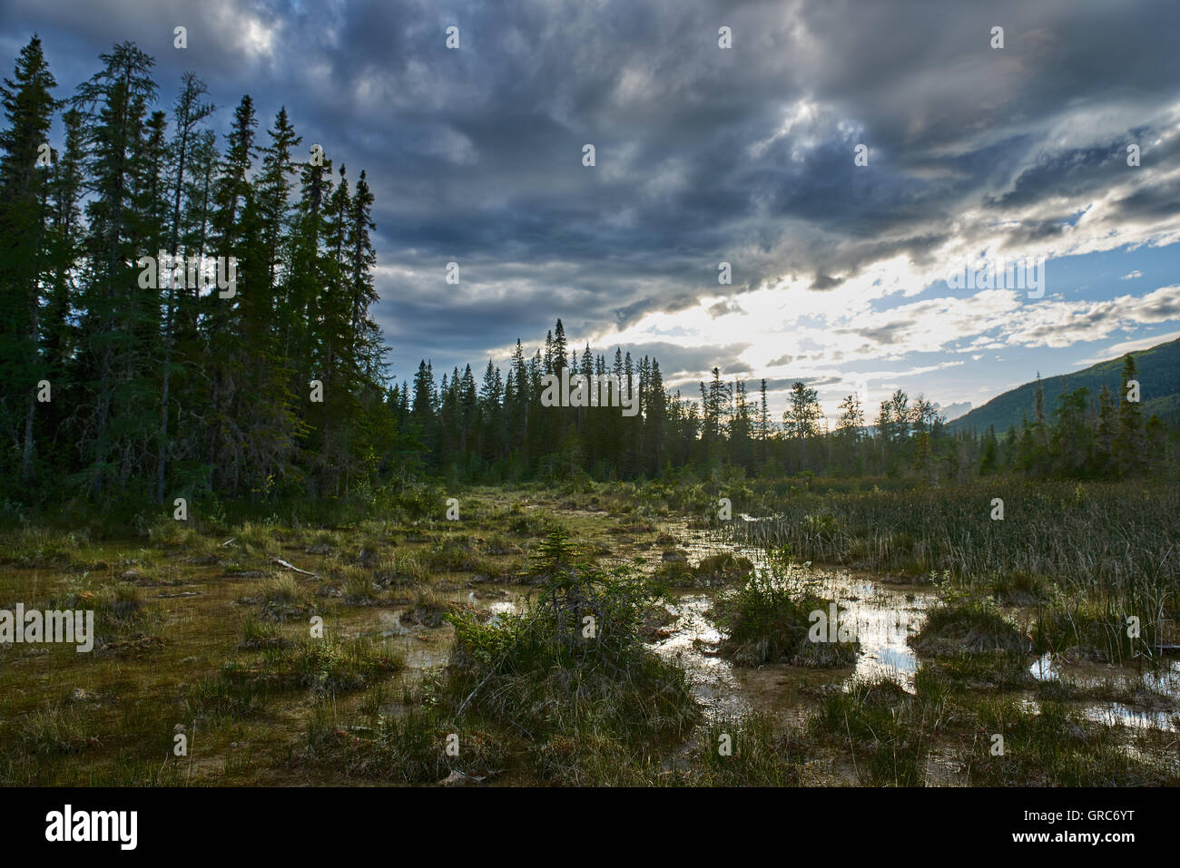 What to do in canada hi-res stock photography and images - Alamy