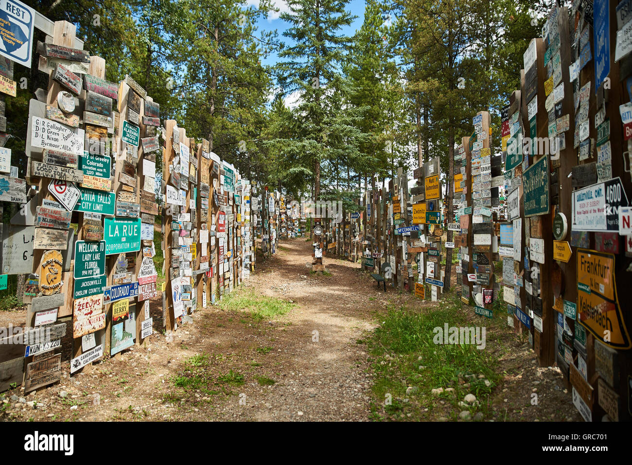 Sign Post Forest Stock Photo - Alamy