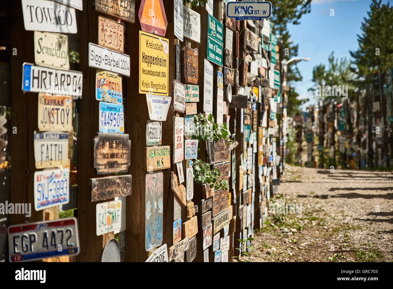 Sign Post Forest Stock Photo - Alamy