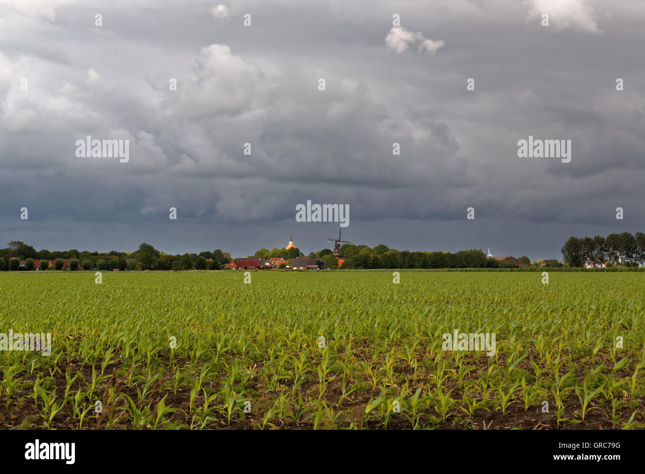 Early summer clouds hi-res stock photography and images - Alamy