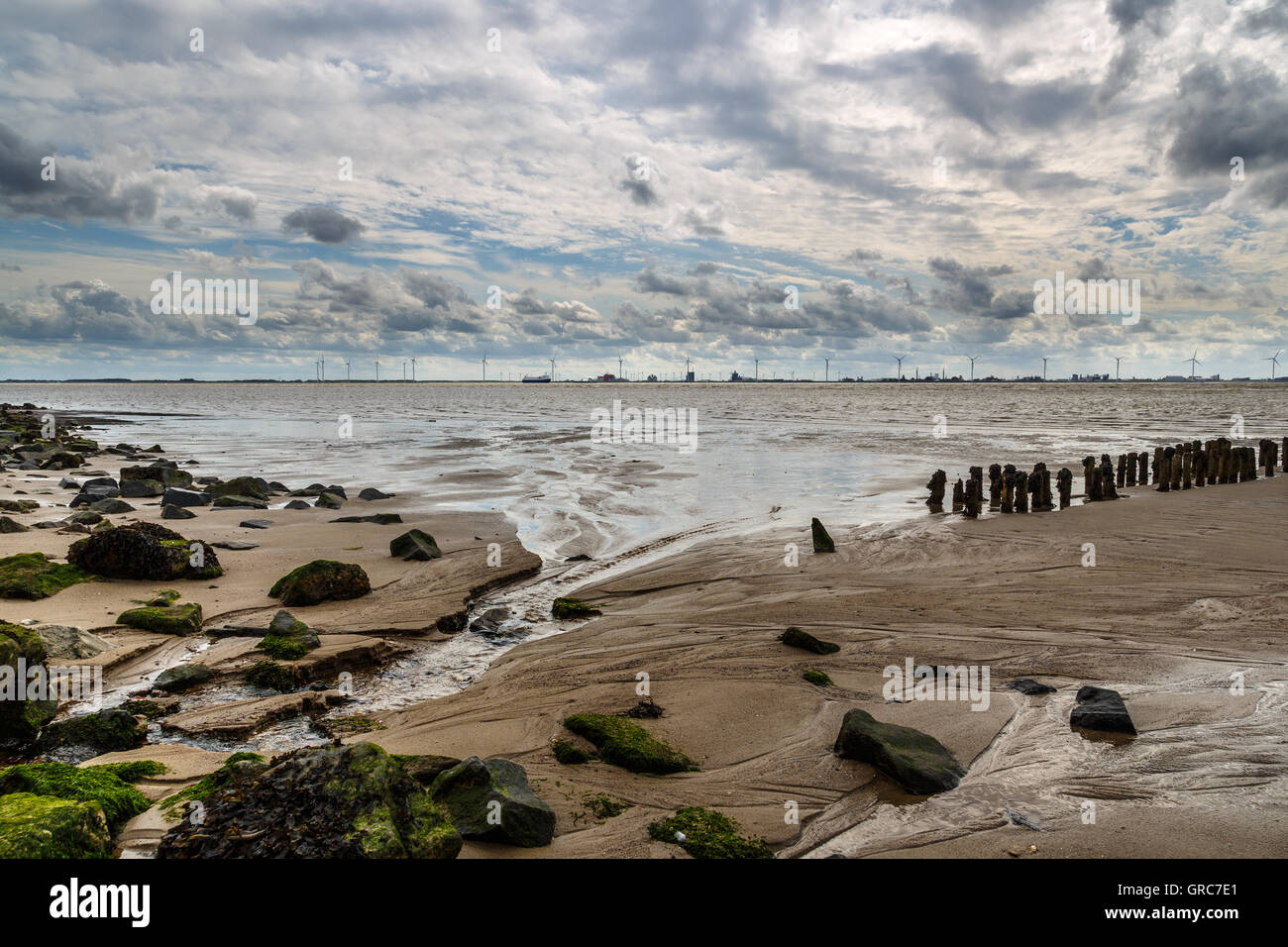 Tide Pool In Watt Stock Photo - Alamy