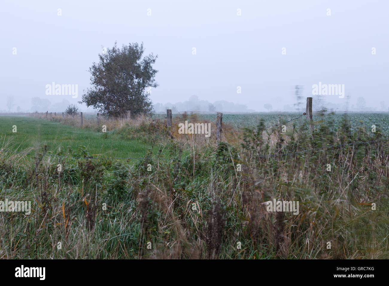 Fog precipitation hi-res stock photography and images - Alamy